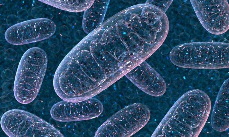 SBRH - Method behind first successful mitochondrial replacement therapy ...